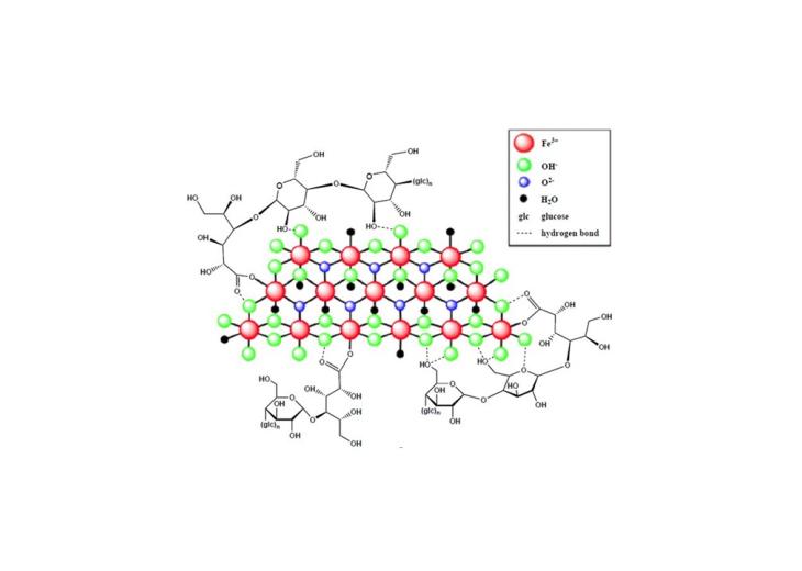 Ferric carboxymaltose | Ferrer